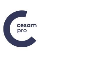 Centre de formation vers l'insertion et l'emploi Bourgogne | CESAM